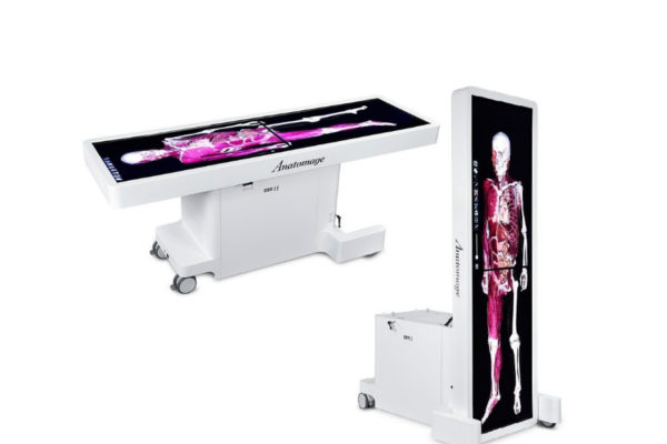 Anatomage Medical Archives - Anatomage